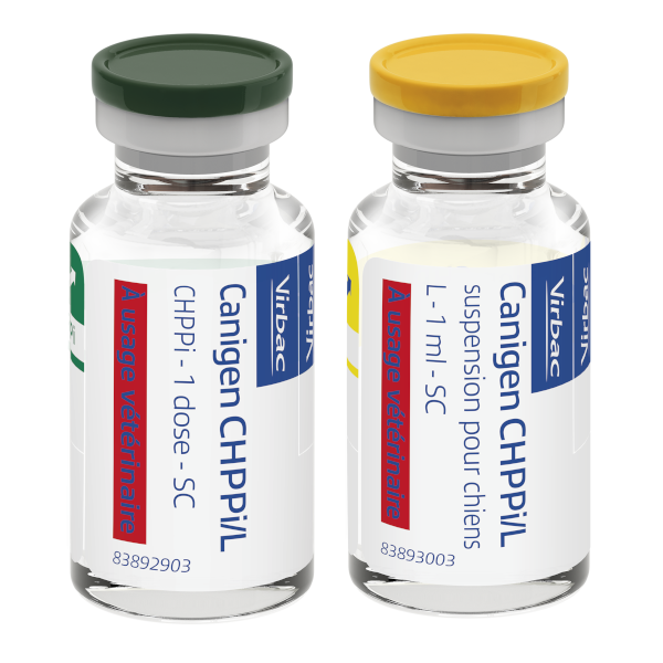 Vaccin CANIGEN® CHPPi/L pour chiens