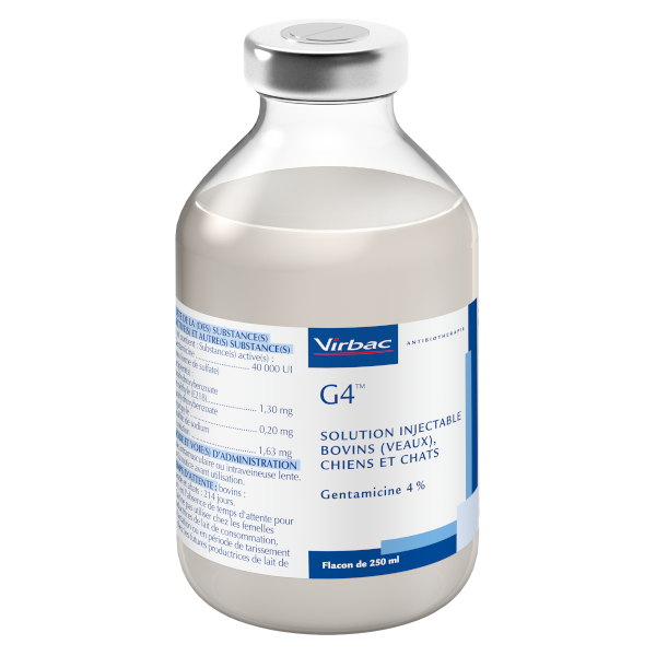 Traitement des infections entéritiques chez les veaux | Gentamicine Virbac